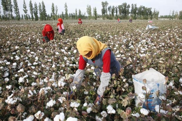Uigurer utnyttes som slaver i Kina | EM24 Europmedia